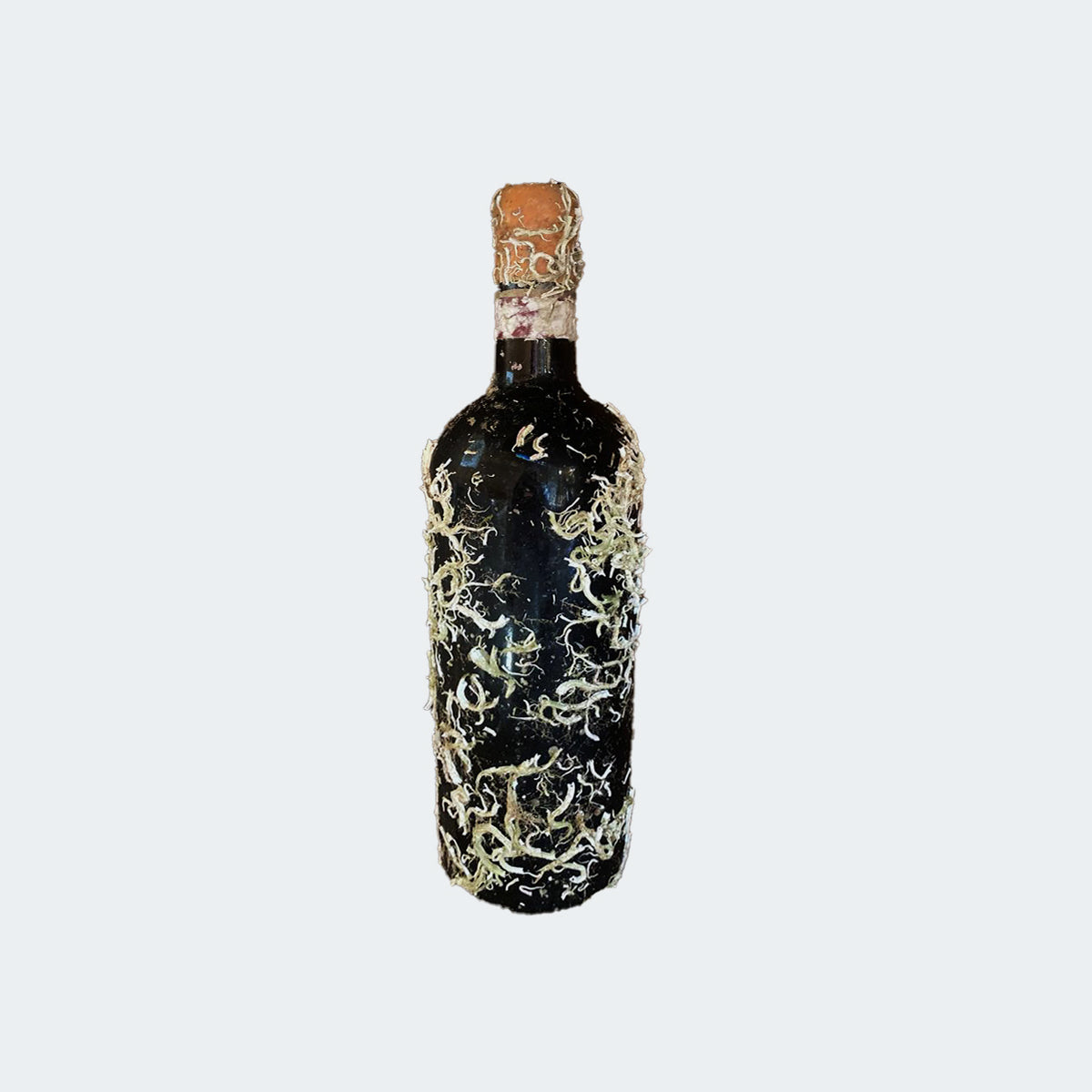 Coral Wine Apollo Ocone | Croatian Red Wine | Witrina